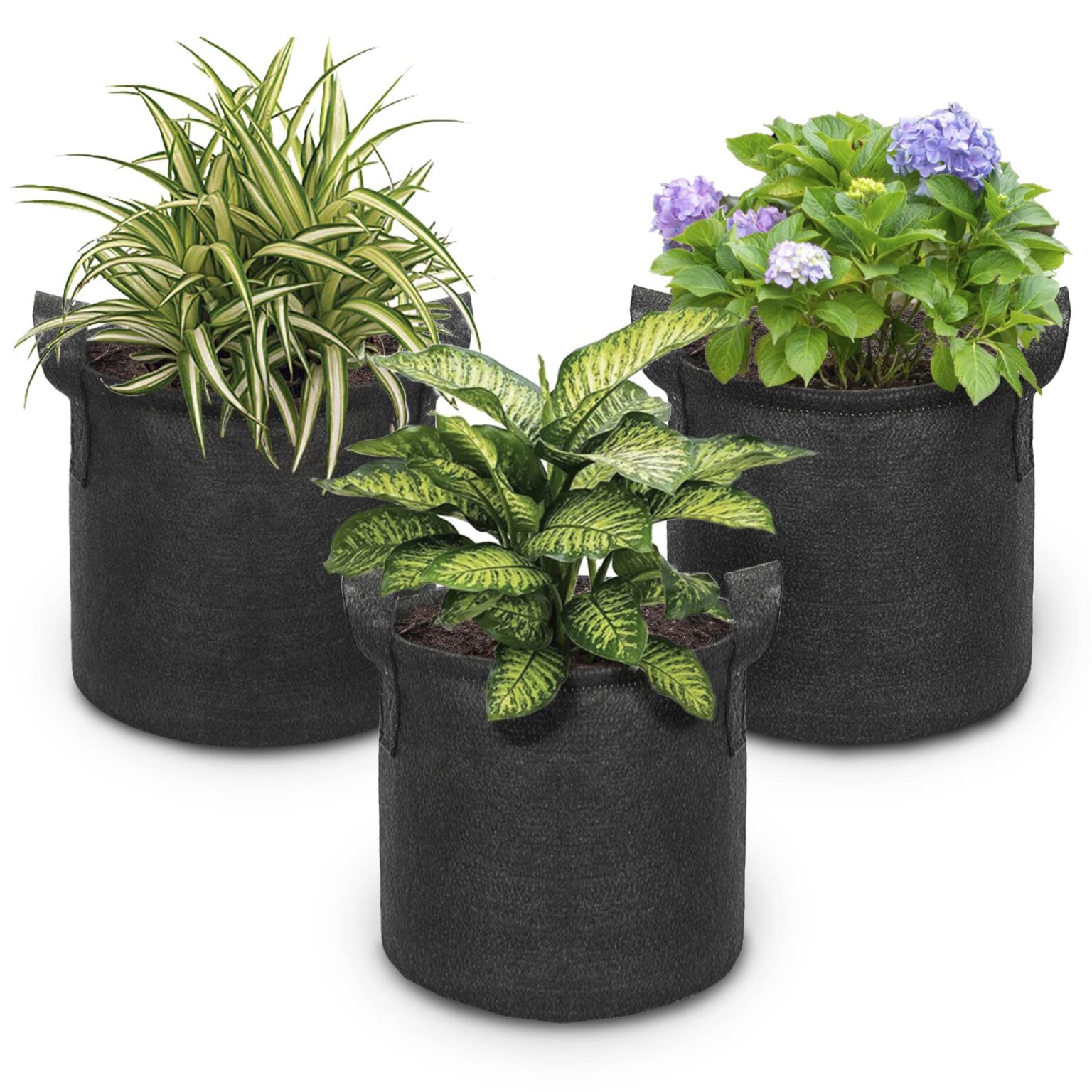 Grow Bags 101: Everything You Need to Know About Planting Trees in ...